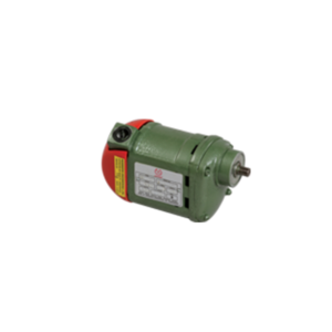 SPM 24 - Special Purpose Motors Manufacturer